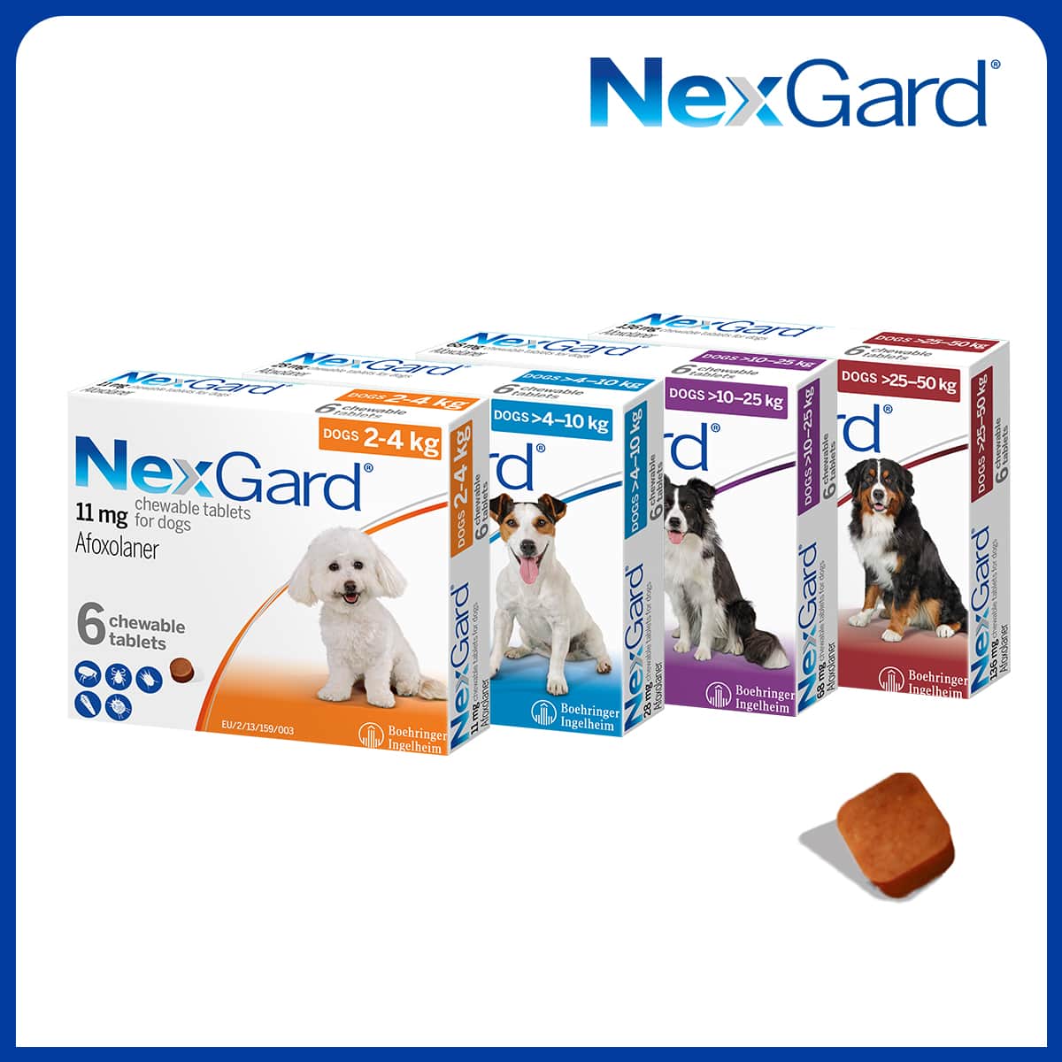 Viên nhai Nexgard trị ngoại ký sinh cho chó