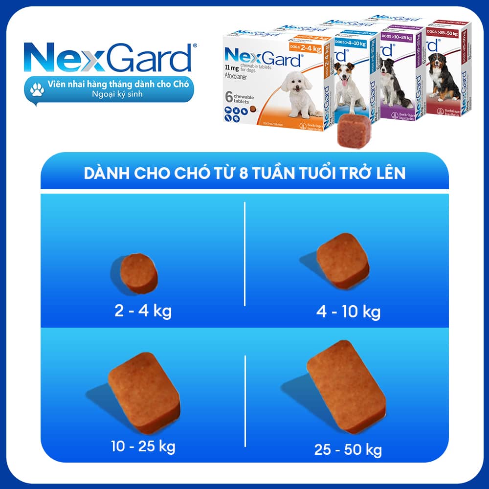 Viên nhai Nexgard trị ngoại ký sinh cho chó