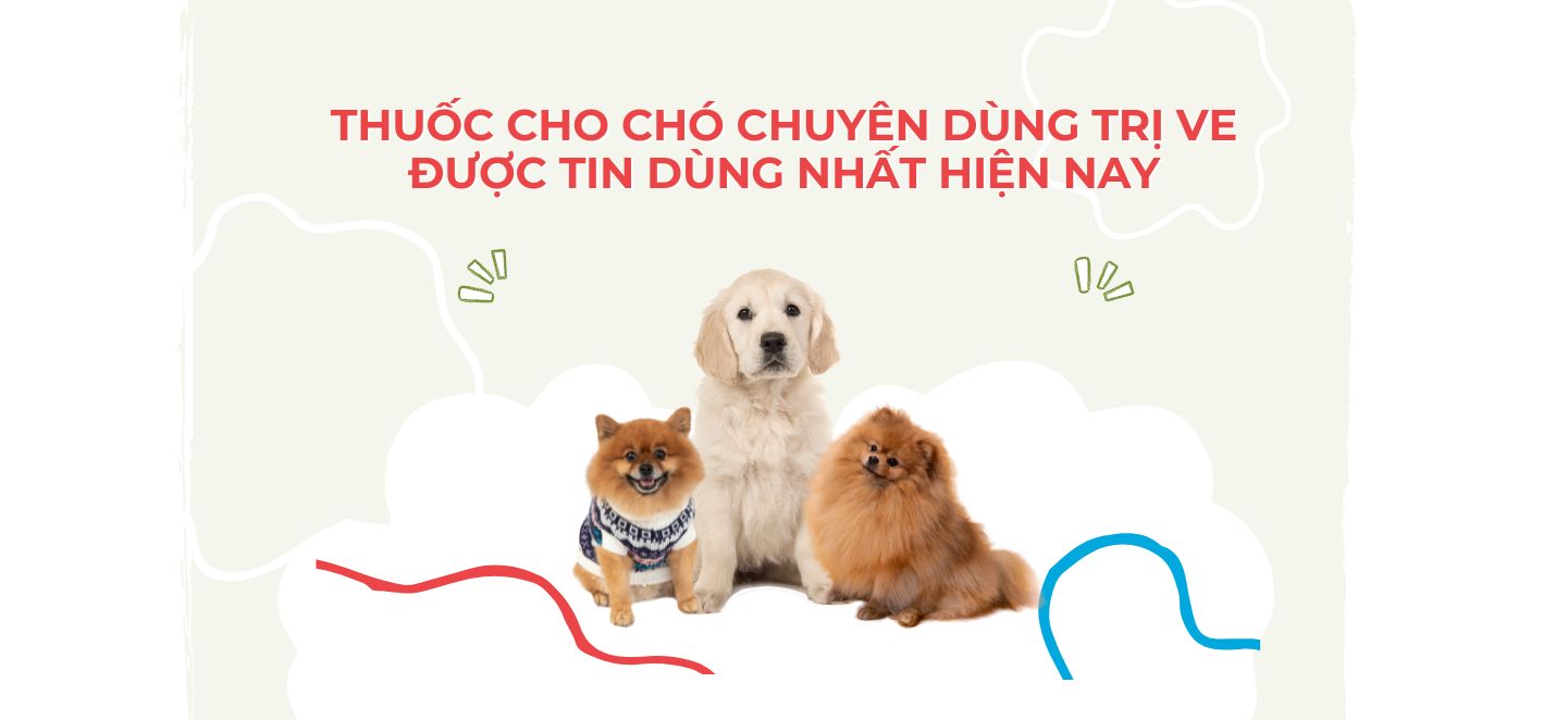 Thuốc cho chó chuyên dùng trị ve được tin dùng nhất hiện nay